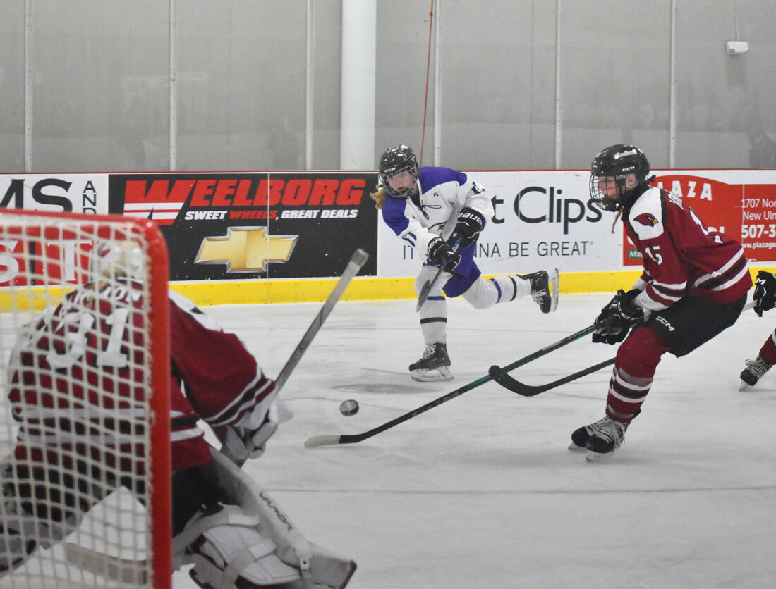 Eagles, Cardinals fly to tie | News, Sports, Jobs - The Journal